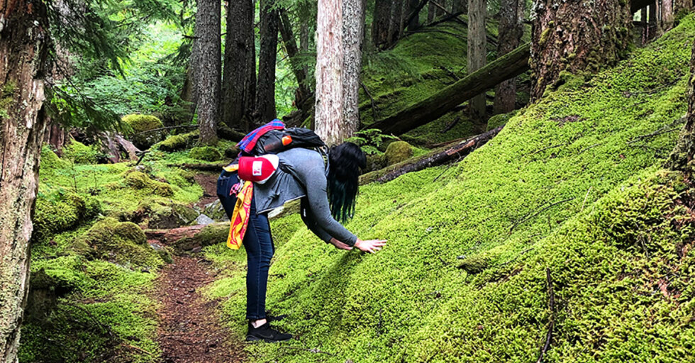 Rest as a Creative Catalyst—Lessons from Nature for Ourselves and the ...